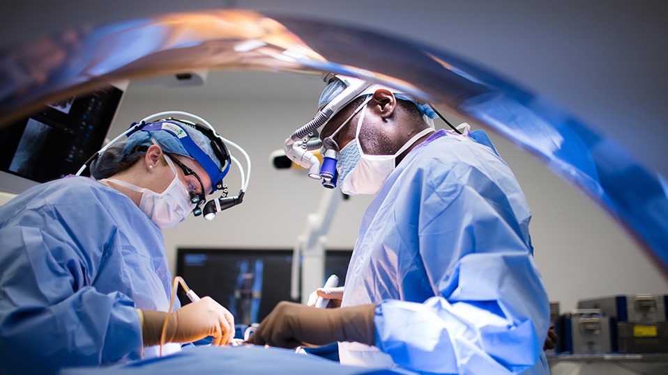 Somerset: Introducing spinal column surgical procedure helping ...