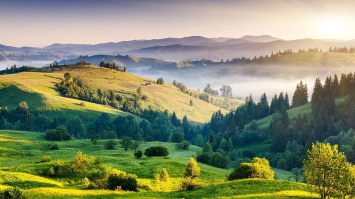 A World Where People and Nature Thrive