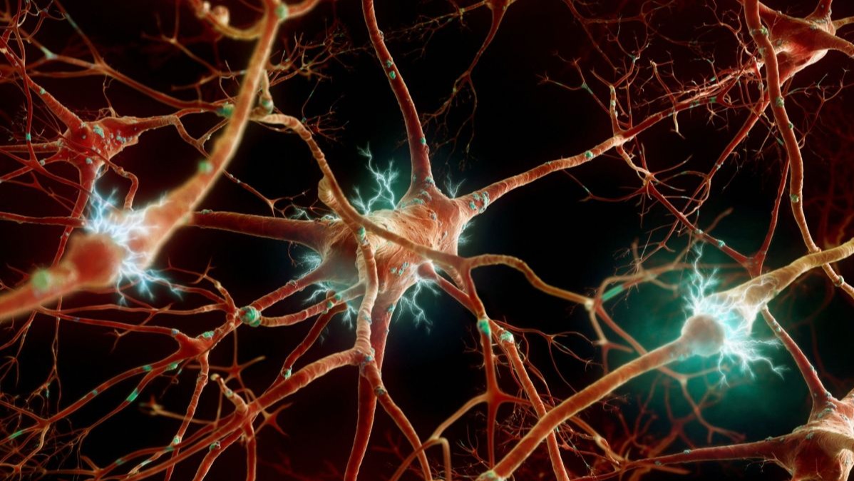 Injuries To Peripheral Nerve Tissues That Transmit Bioelectrical ...