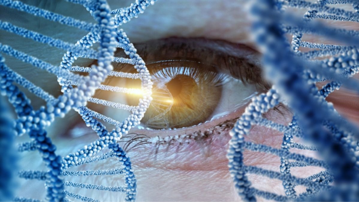 Gene Medical Aid In One Eye Improves Vision In Each Eye.