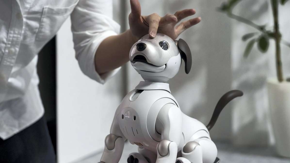 Robotic Dogs And Laughter Therapy: Preventing Loneliness And Isolation ...